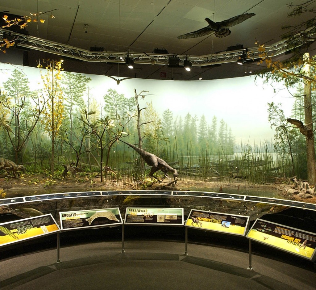 Dioramas - Dinosaurs