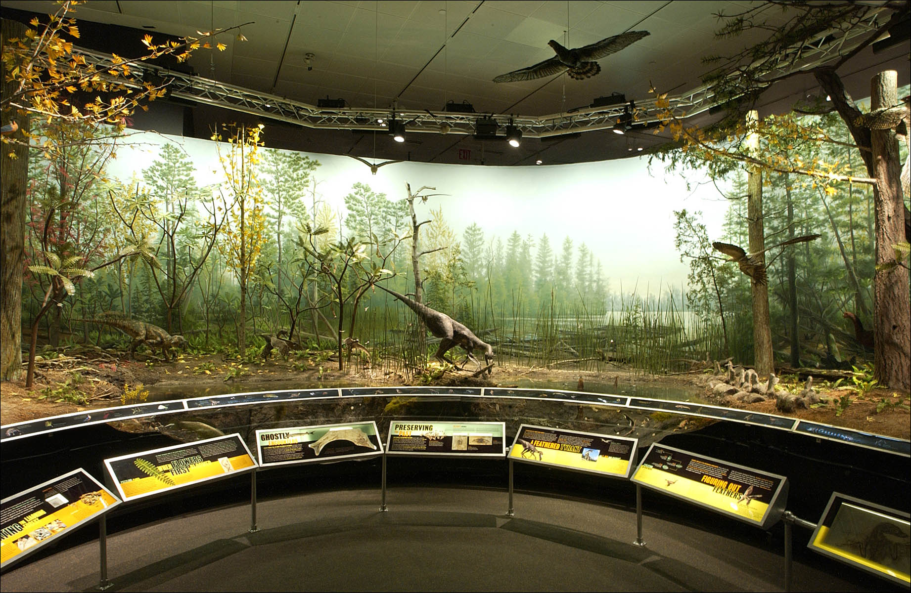 Dioramas - Dinosaurs