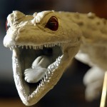 Dioramas - Dinosaurs