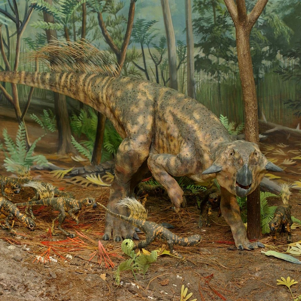 Dioramas - Dinosaurs